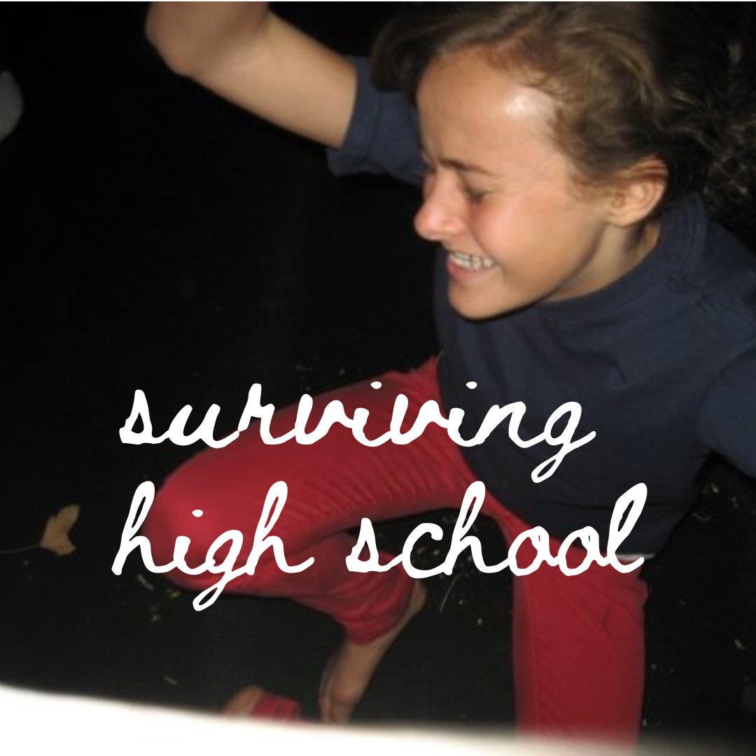 Surviving High School – Literary Pixie